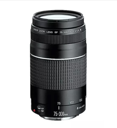 Camara Canon Rebel T100 18-55 DCIII USCAN y Lente EF75-300M - Vstore